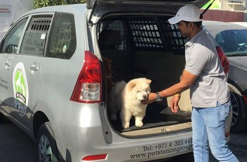 Pet Taxi | Pet Station Group